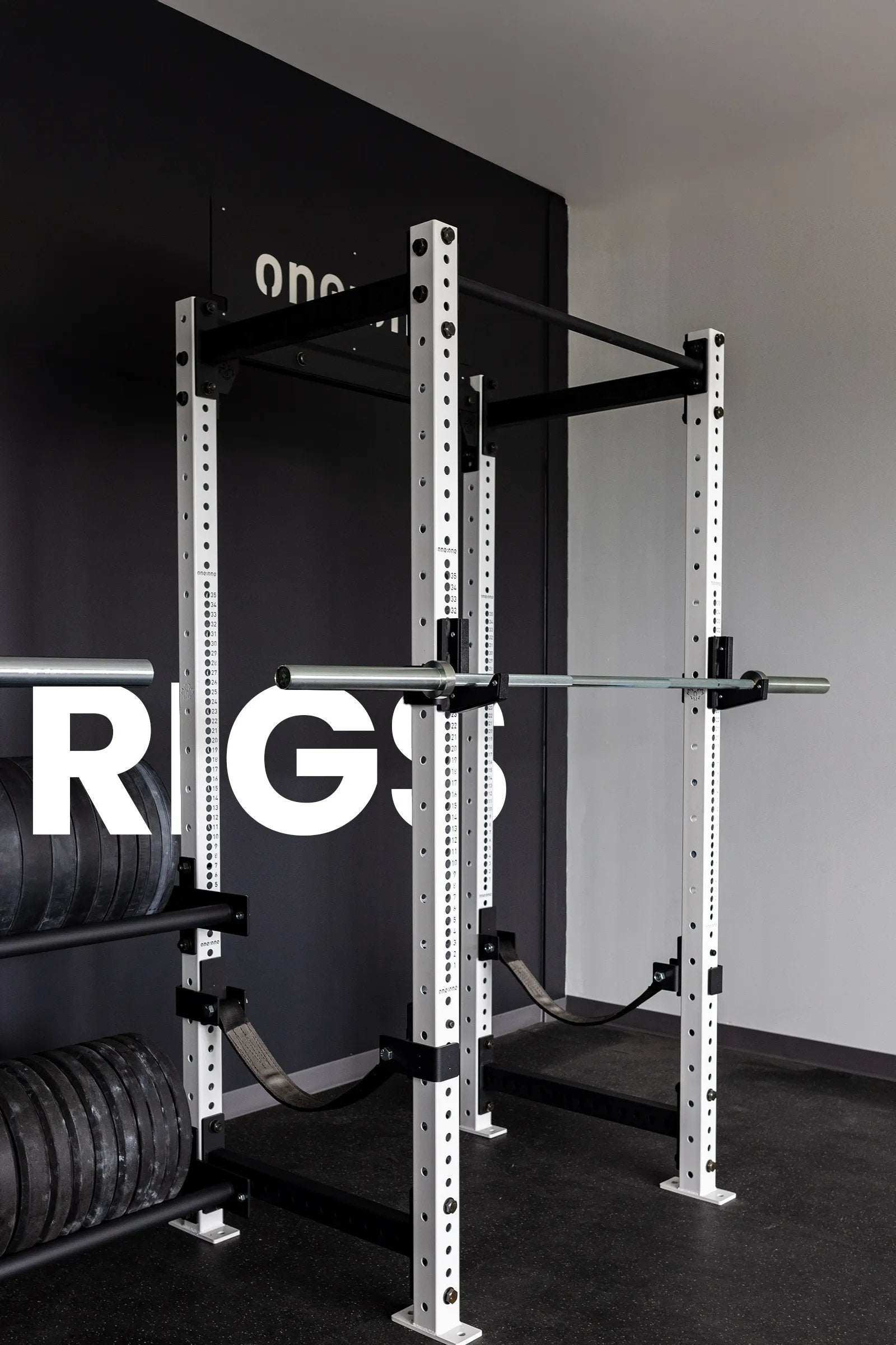 Rigs For Home Gym & Facilities - Gym Equipment – One:One Manufacturing
